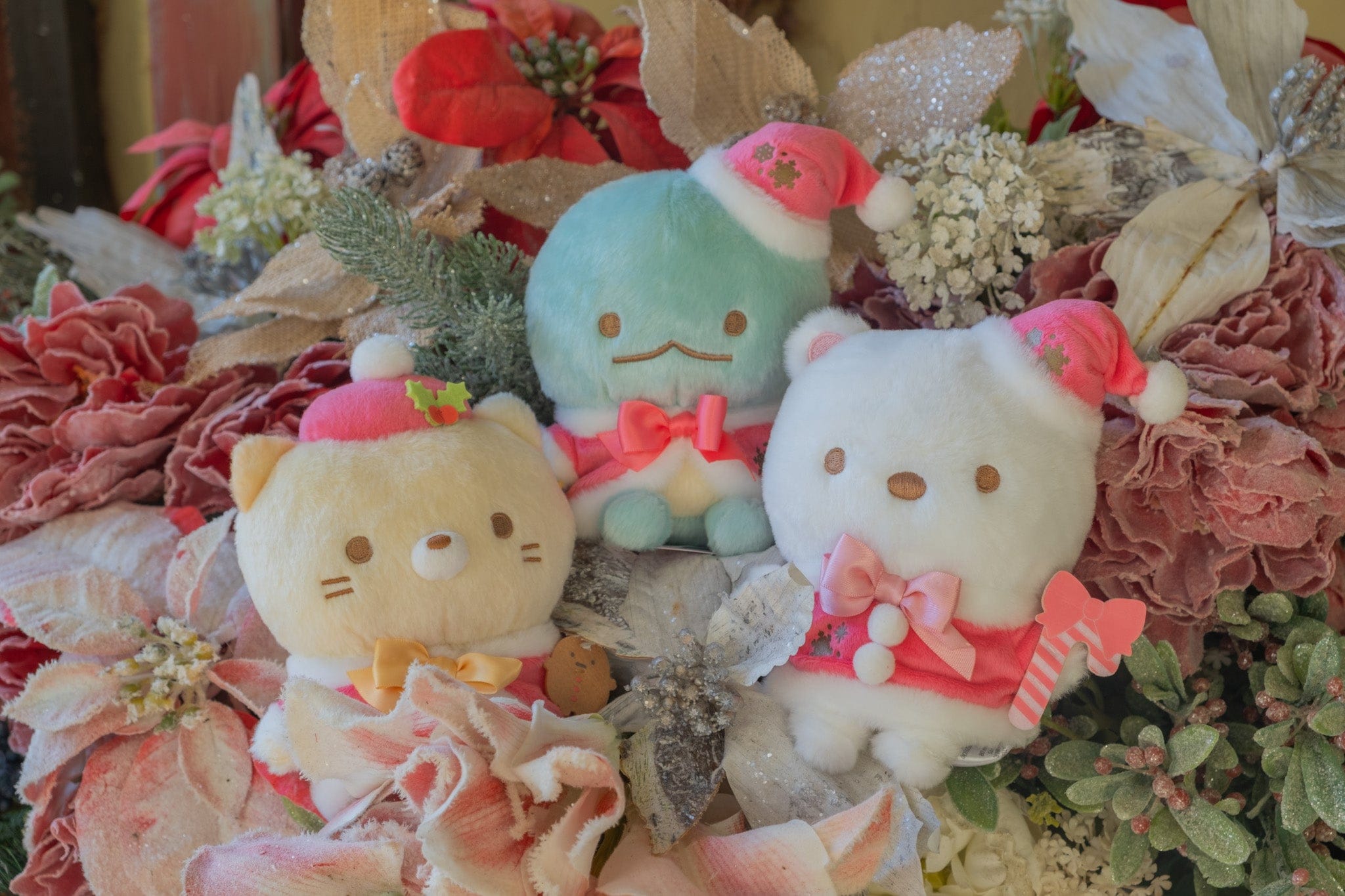 Colorful Cute: Miami's Kawaii Shop